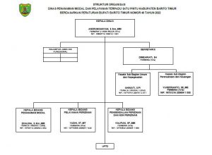 Struktur Organisasi – DPM-PTSP KAB. BARITO TIMUR